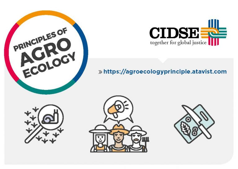 Infographic The Principles of Agroecology